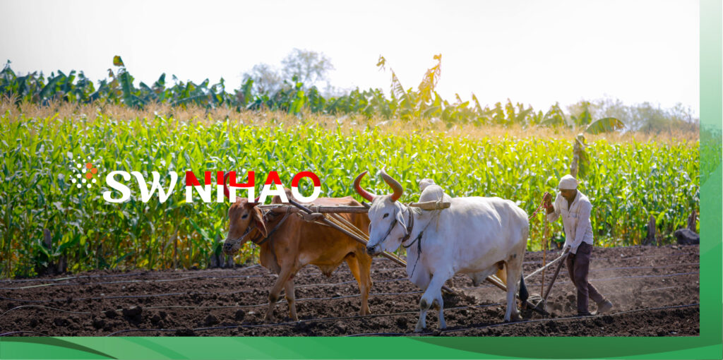 Manfaat Laporan ESG: Siapa Yang Mendapatkan Keuntungannya? | SW INDONESIA